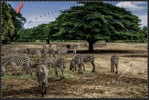 2 Easy Ways To Blur Edges In Photoshop Step By Step