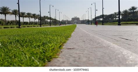 One Point Perspective Grass Over 311 Royalty Free Licensable Stock