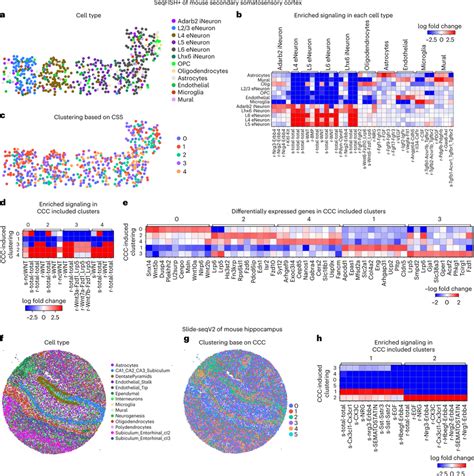 Downstream Analysis Of Inferred Ccc In Single Cell Resolution Spatial Download Scientific