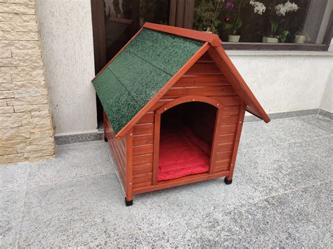 Am Făcut Cușcă Pentru Cățel