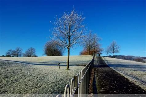 家园共育小雪节气 虹藏不见 闭塞而成冬