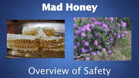 Mad Honey Effects 7 Proven Health Benefits Of Mad Honey Maxlua
