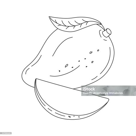 망고 낙서 벡터 일러스트 레이 션 아이 들을 위한 색칠하기 책 0명에 대한 스톡 벡터 아트 및 기타 이미지 0명 과일