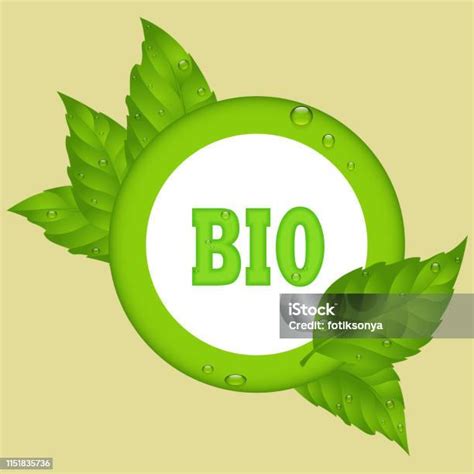 카드 스티커 인쇄 섬유 디자인에 대 한 잎 장식으로이 슬 방울에 프레임 오가닉 로고 천연 제품 유기농 식품 환경 친화적인 사인 0명에 대한 스톡 벡터 아트 및 기타 이미지