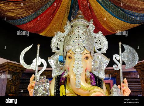 07 September 2024 Pune Maharashtra India Huge Idol Of Lord Ganesh Installed By Tulshibaug