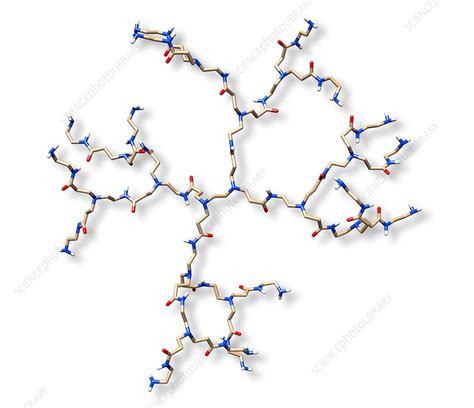 Dendrimer Molecular Structure Stock Image C030 9072 Science Photo Library