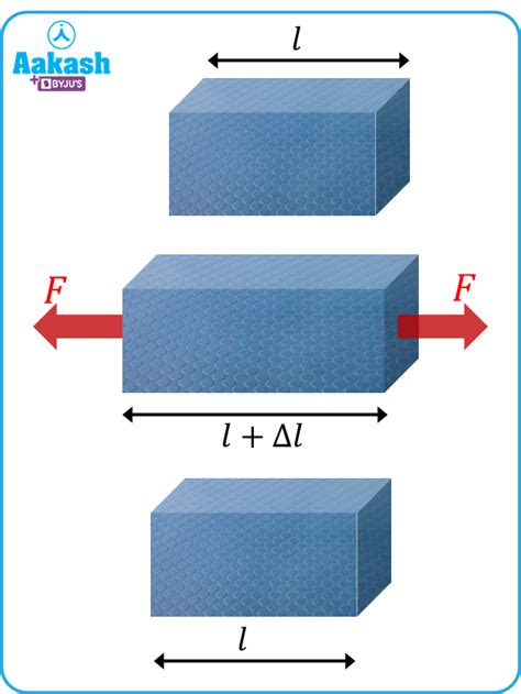 Elasticity In Physics Definition Types And Importance AESL