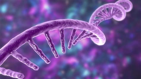 Dovetail Genomics Announces Early Access Service For Ffpe Sample