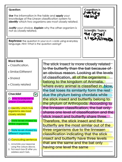 Levels Of Classification Template Pdf Cognition Cognitive Science Levels Of Classification Template Pdf Cognition Cognitive Science