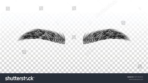 2 Microblading Stroke Patterns Immagini Foto Stock E Grafica Vettoriale Shutterstock
