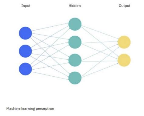 Ibm Ai Fundamentals What Is The Function Of Perceptron In Neural