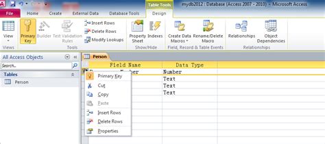 Using Microsoft Access 2010