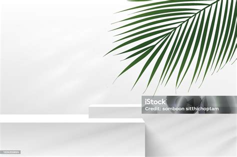 녹색 야자수 잎과 함께 받침대 연단을 단계 현대 화이트 큐브 단계 그림자의 기하학적 플랫폼 추상흰색과 회색 최소 벽 장면 벡터 렌더링 3d 모양 화장품 제품 표시 프리젠
