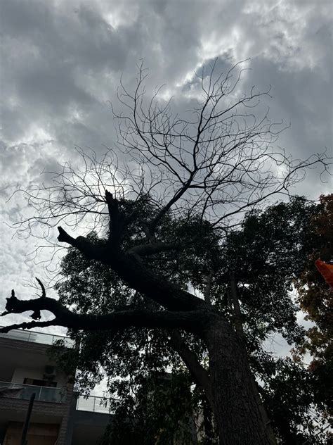 Sanjana Issar On Linkedin Motivation