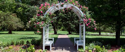 Pergola Vs Trellis Vs Arbor