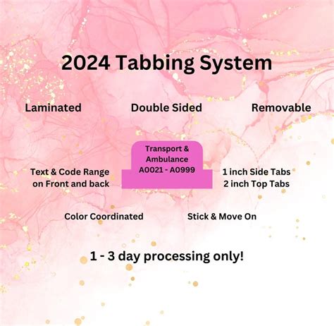 2024 AAPC HCPCS Level II Tabbing System Etsy