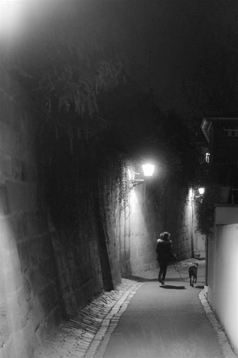 무료 이미지 눈 빛 검정색과 흰색 소녀 안개 화이트 밤 사진술 골목 터널 도약 산책 애정 날씨 어둠 검은 뛰기 단색화 솔직한 미술