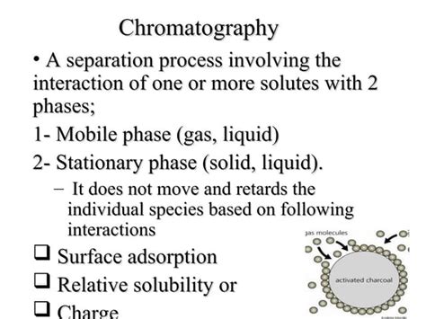 Theories Of Chromatography Document From Laiqppt