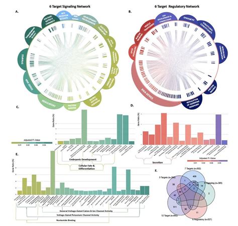 Functional Grouping Of Targets Uncovers Pathway Specific Convergent