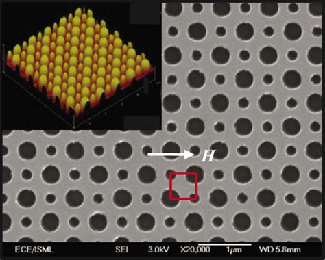 Color Online Sem Image Of Inhomogeneous Antidot Arrays Consisting Of