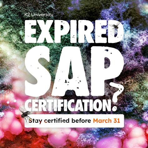 Sap Learning Hub K2 University K2 University