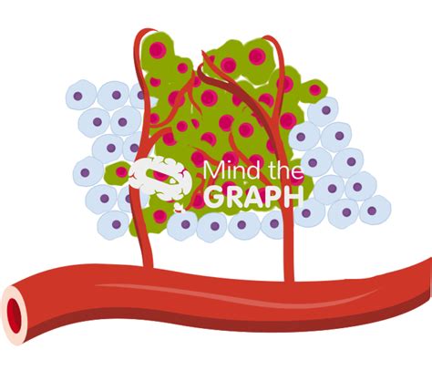 Free Angiogenesis Icons Symbols Pictures And Images Mind The Graph