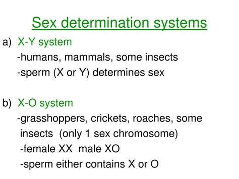 PPT Chapter 14 PowerPoint Presentation Free Download ID 5420747