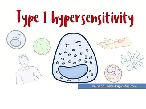 Hypersensitivity And Types Of Hypersensitivity Reaction Online Biology Notes