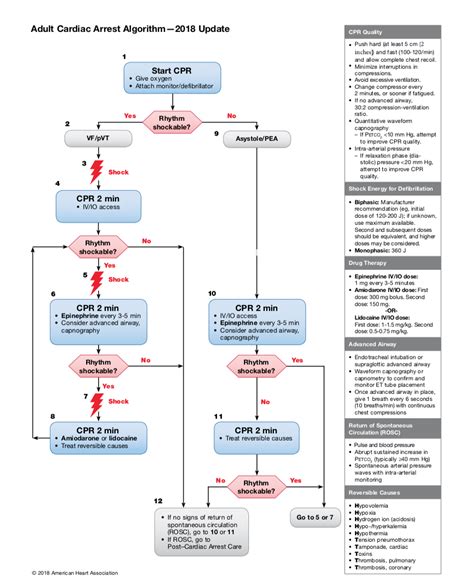 Acls Pacing Algorithm