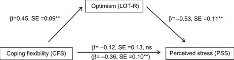 Coping With Occupational Stress The Role Of Optimism And Coping Flexibility Pmc
