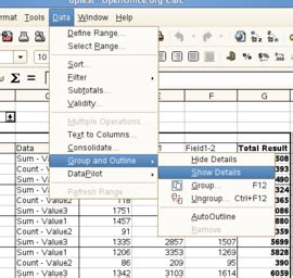Calc Features DataPilot Drill Down On Data Field Apache OpenOffice Wiki