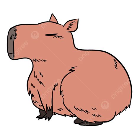 Капибара Png братан животное мультфильм Png картинки и пнг Psd