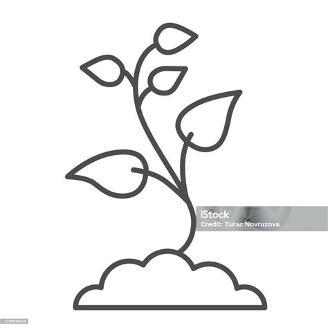 많은 잎 얇은 라인 아이콘 자연 개념 흰색 배경에 지상 기호에 씨앗 새싹 모바일 개념 및 웹 디자인에 대 한 개요 스타일에 토양 아이콘에 새싹 을 가진 모종 벡터 그래픽 0