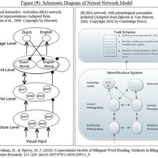 Represented Neural Network With Input Layer Output Layer And Hidden