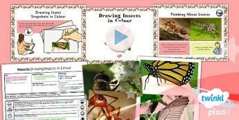 Observational Drawing Lessons Uk