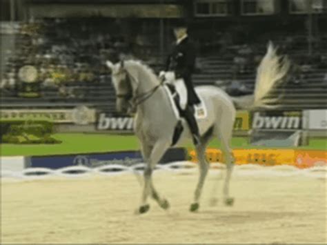 Horse Riding S Page 2 Wiffle