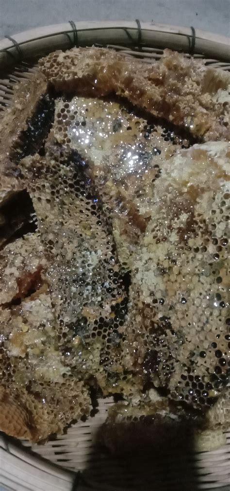 土蜂蜜批发 广西百色西林县蜂蜜 80 00元 斤广西西林县高山 一亩田