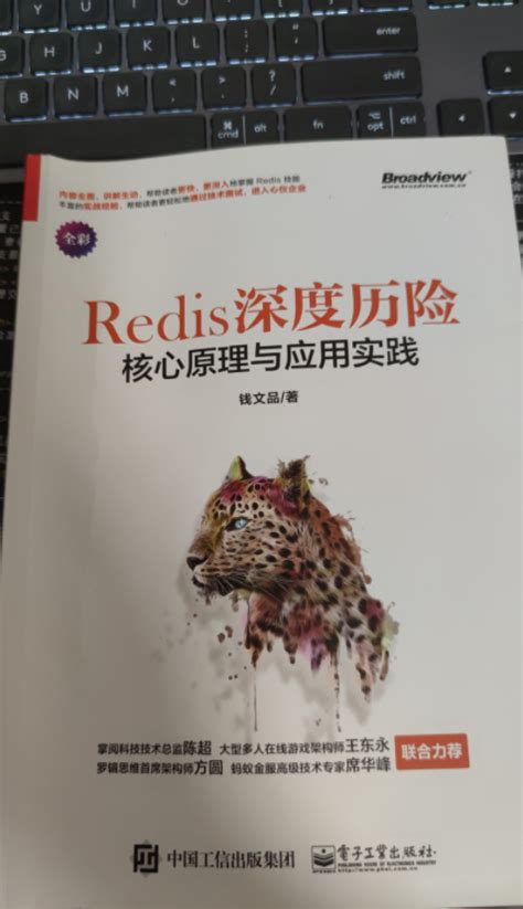 Redis该怎么学其实很简单这份学习路线 资料 书单我全部贡献出来了 阿里云开发者社区