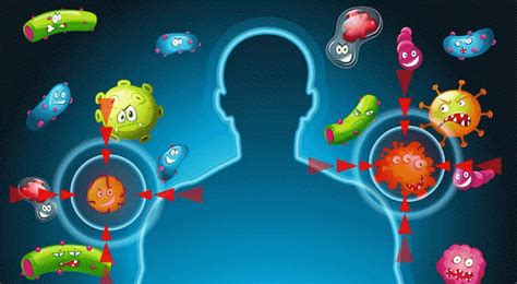 Crucial Elements In Human Body Functions And Significance Healthcareontime