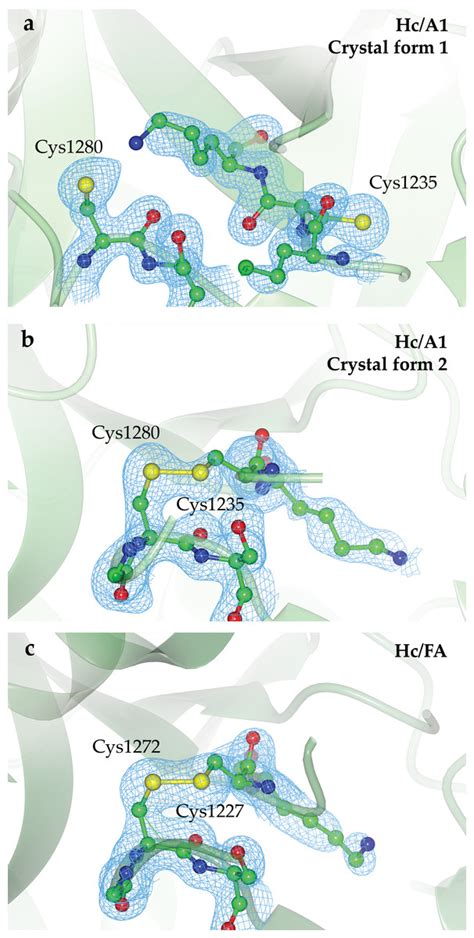 High Resolution Crystal Structures Of The Receptor Binding Domain Of
