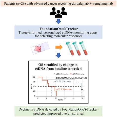 Molecular Oncology Vol 17 No 2