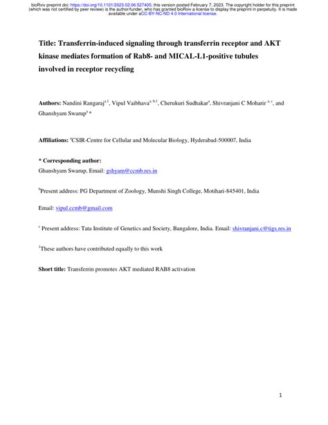 Pdf Transferrin Induced Signaling Through Transferrin Receptor And Akt Kinase Mediates