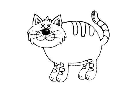 თემა 2 ცხოველები