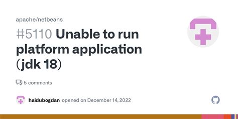 Unable To Run Platform Application Jdk 18 · Issue 5110 · Apachenetbeans · Github
