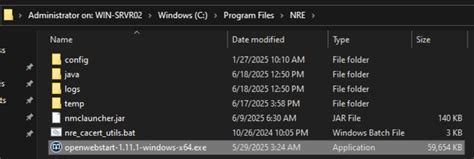 NetWorker NMC Launcher Fails To Connect To NMC After Upgrade To NetWorker 19 13 Dell Kiribati