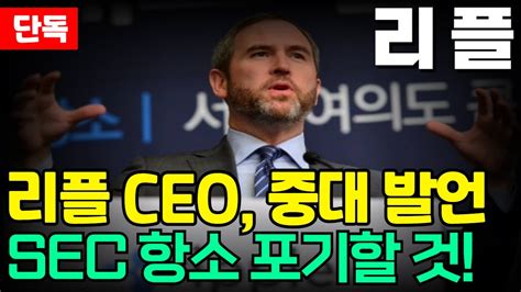 리플 Xrp 긴급 리플 Ceo 중대 발언 Sec 항소 포기할 것 Youtube