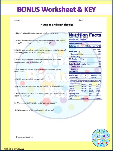 Biomolecules Compare And Contrast Worksheet With Digital Format