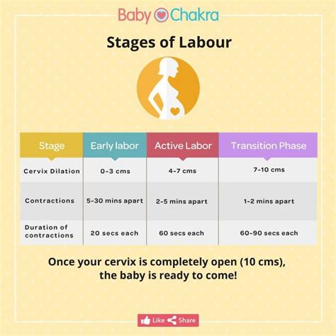 Stages Of Labor