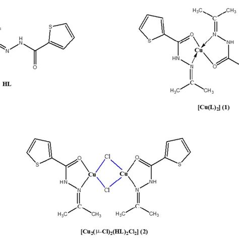 Scheme 13 Synthesis Of The Schiff Base Ligand Download Scientific