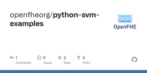 github openfheorg python svm examples